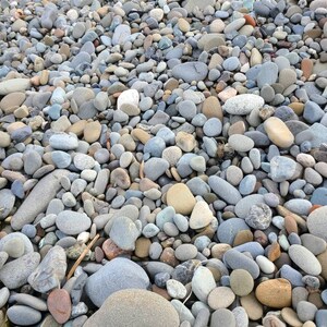 Free Shipping Extra Large 20 Flat Rocks, 4 Inchs to 5 Inches Flat ...