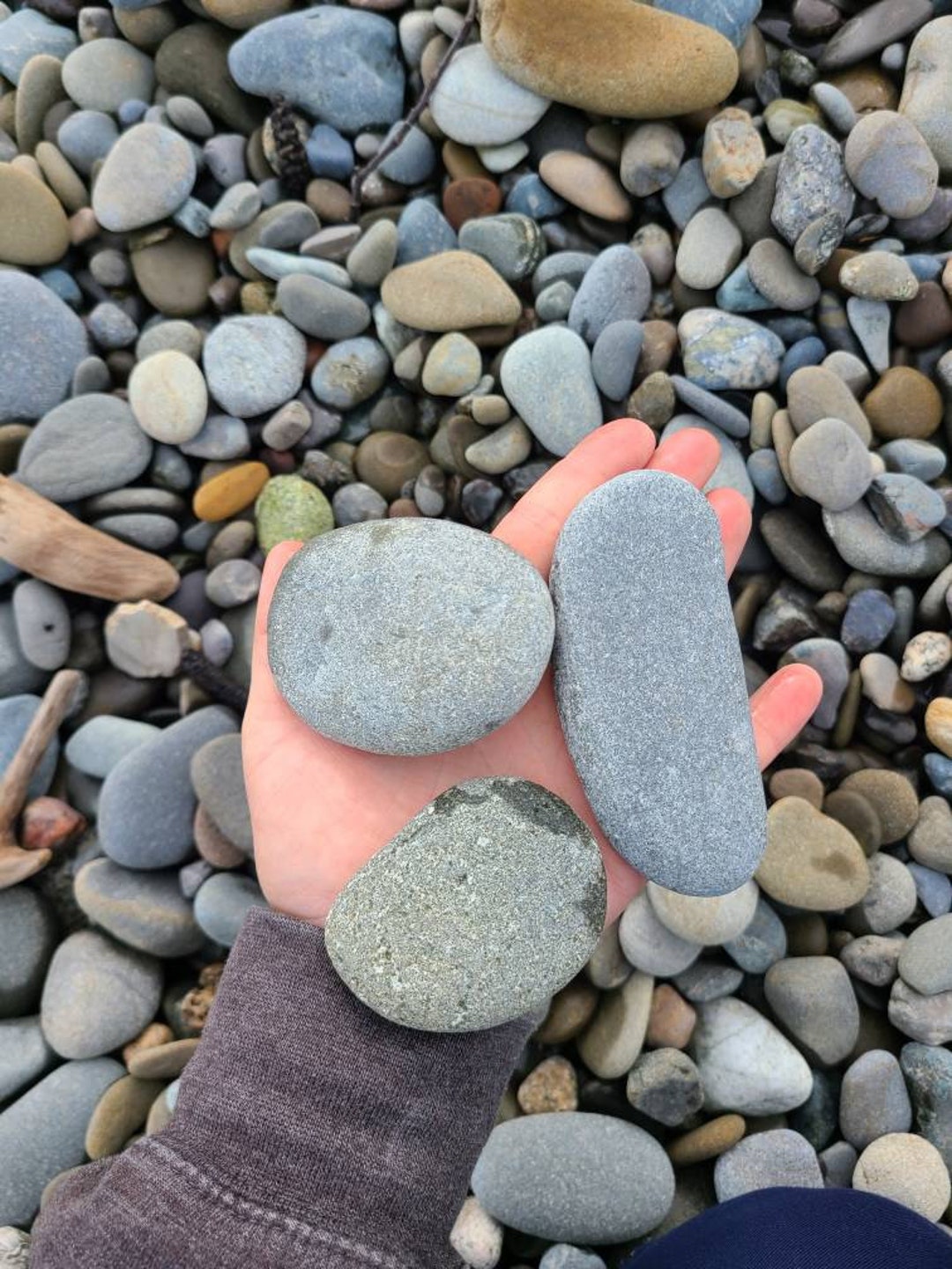 30 Flat Rocks, 2 Inchs to 3 Inches Flat Medium Rocks, Cairn Stones, PNW ...