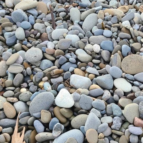 75 Flat Rocks 2 Inchs to 3 Inches Flat Medium Rocks Cairn - Etsy