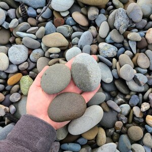 30 Flat Rocks, 2 Inchs to 3 Inches Flat Medium Rocks, Cairn Stones, PNW ...