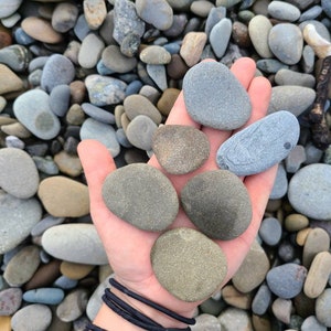 30 Flat Rocks, 2 Inchs to 3 Inches Flat Medium Rocks, Cairn Stones, PNW ...