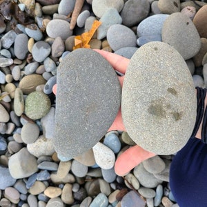 20 Flat Rocks, 4 Inchs to 5 Inches Flat Medium Rocks, Cairn Stones, PNW ...