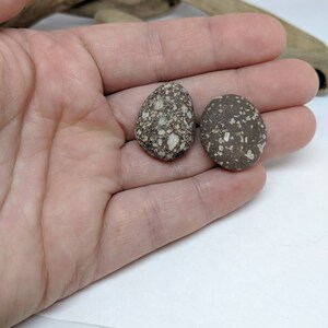 Single Stone Beach Stone Beach Rock Rocks Beach Pebble - Etsy