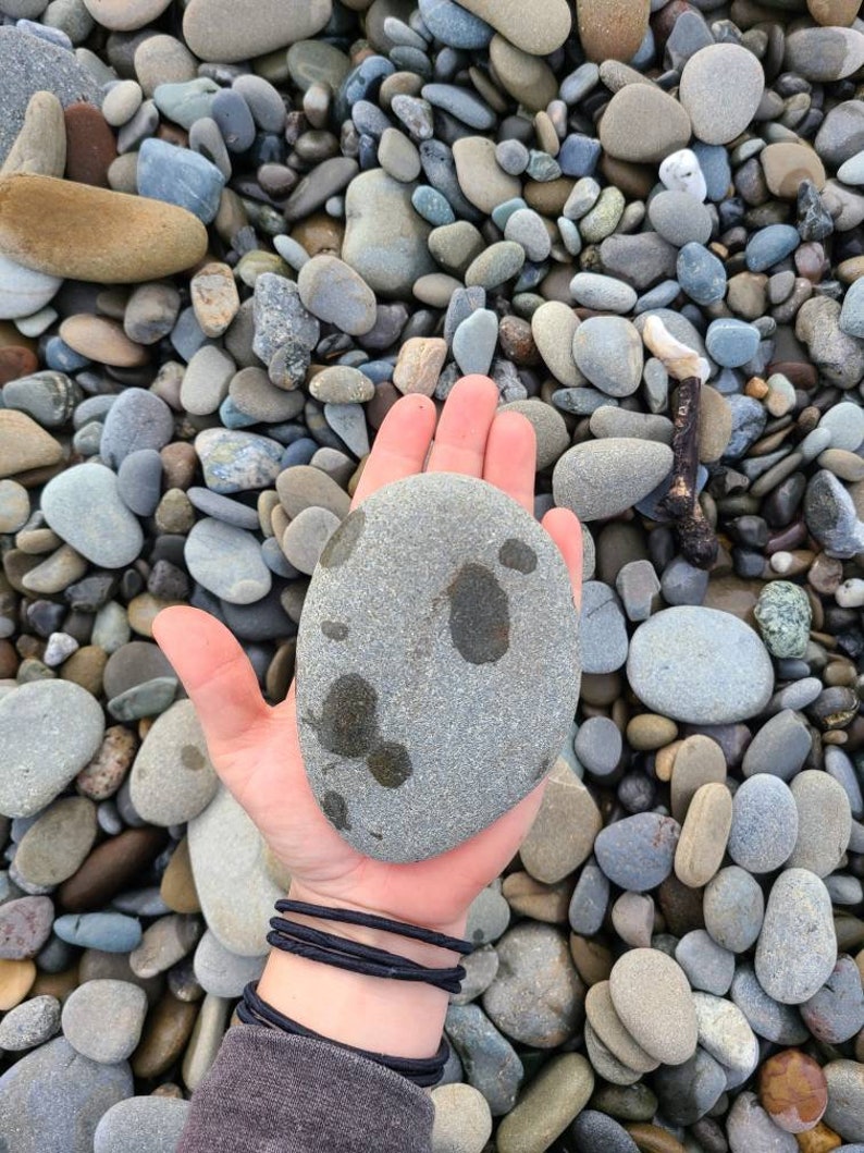 Extra Large 20 Flat Rocks 4 Inchs to 5 Inches Flat Medium - Etsy