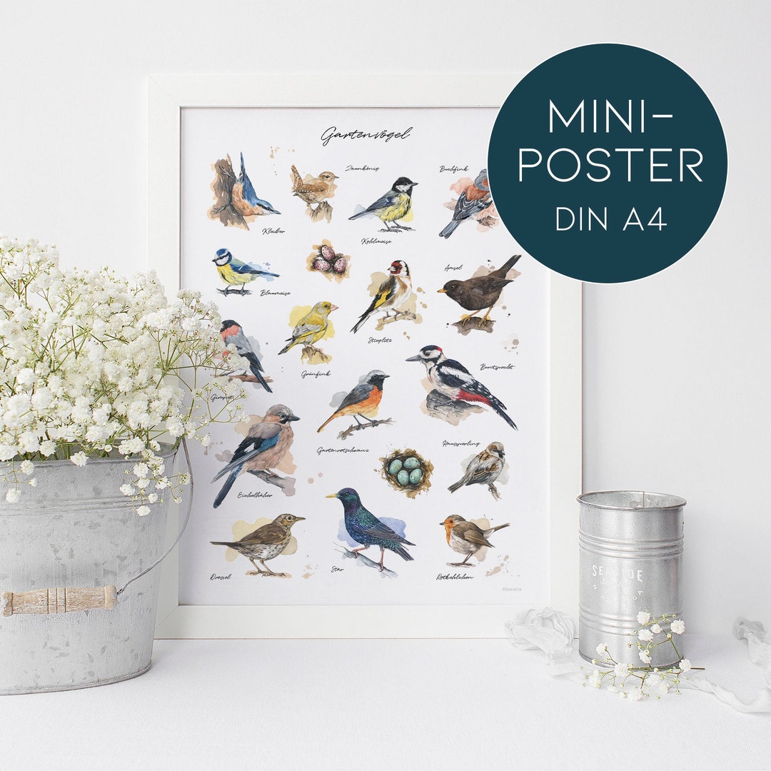 GARDENBIRDS MINI-POSTER // 16 Lovely Bird Watercolor Illustrations ...
