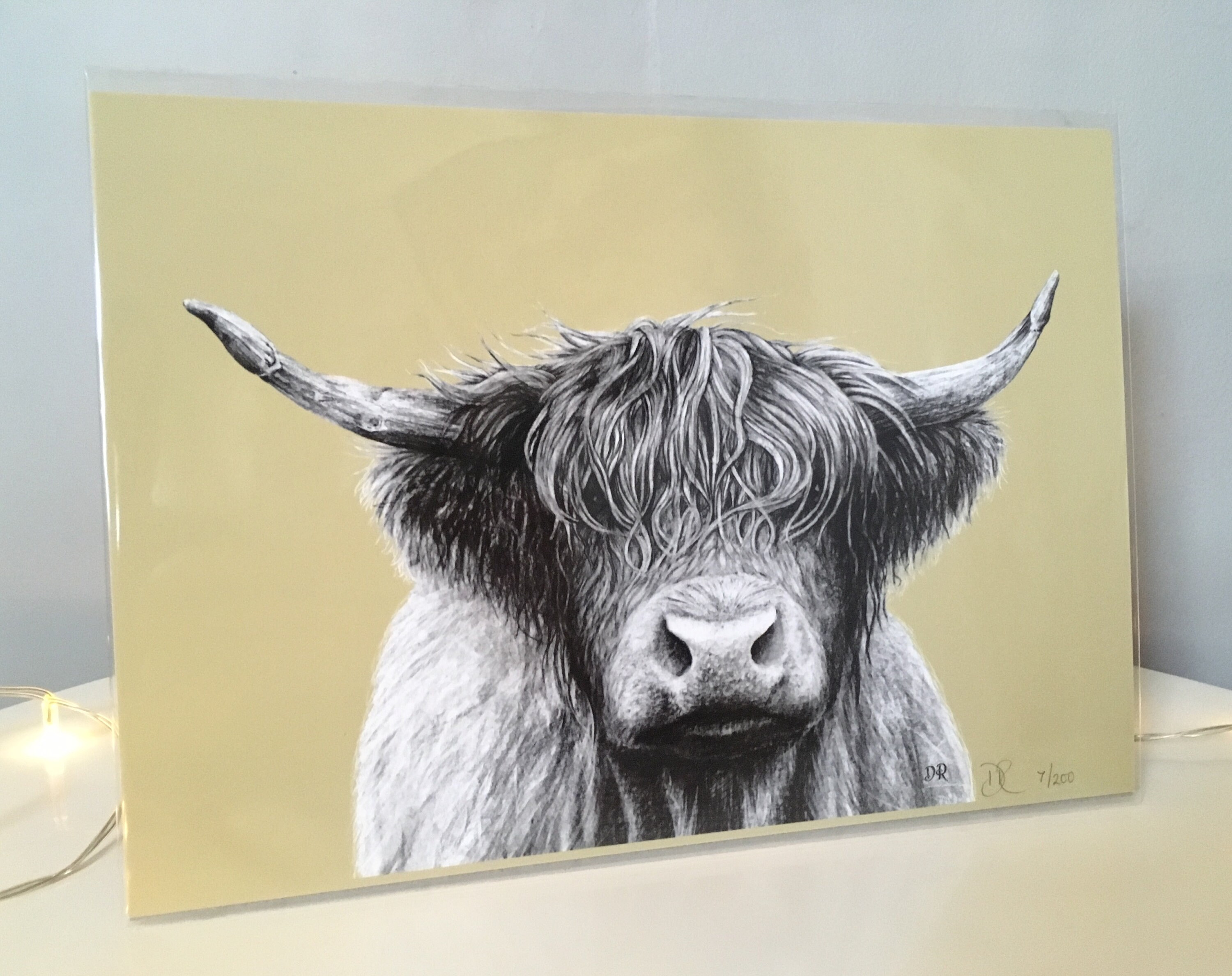Highland Cow Giclee Print From an Original Drawing. A4. Pale Ochre ...