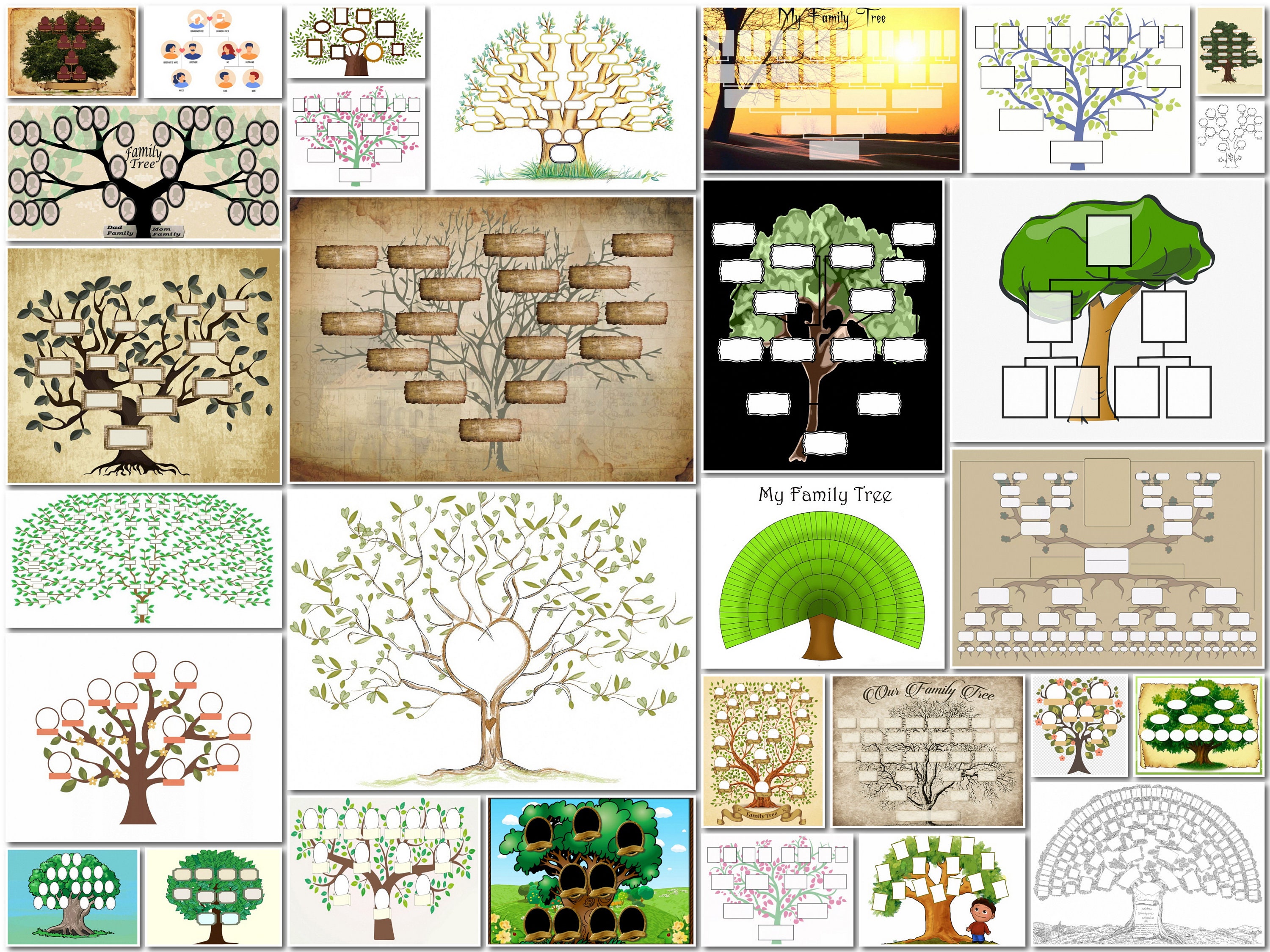 Blank Family Tree Template For Kids