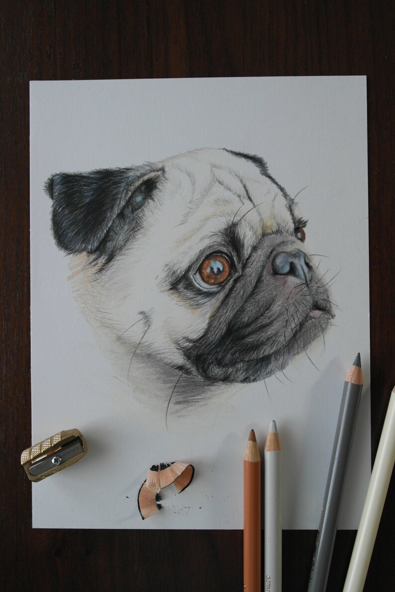 Custom Pet Portrait / Dog Portrait / Coloured Pencil Drawing / | Etsy