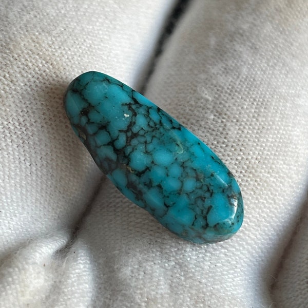 Spider Web Turquoise - Etsy