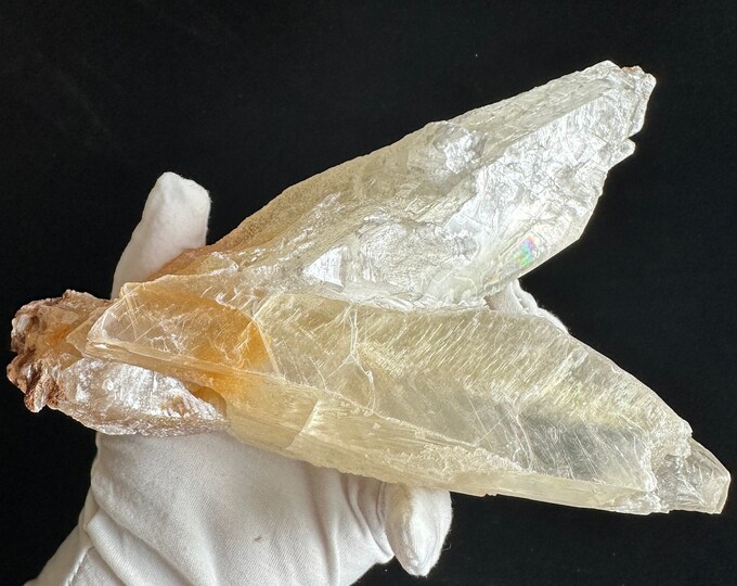 Golden Phantom Selenite - Creamsicle Claim - San Rafael Swell - Emery ...