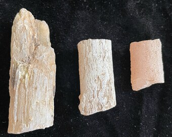 Pink Limb Casts - Etsy