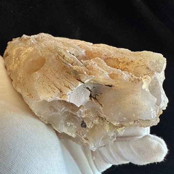 Agatized Limb Cast - Etsy