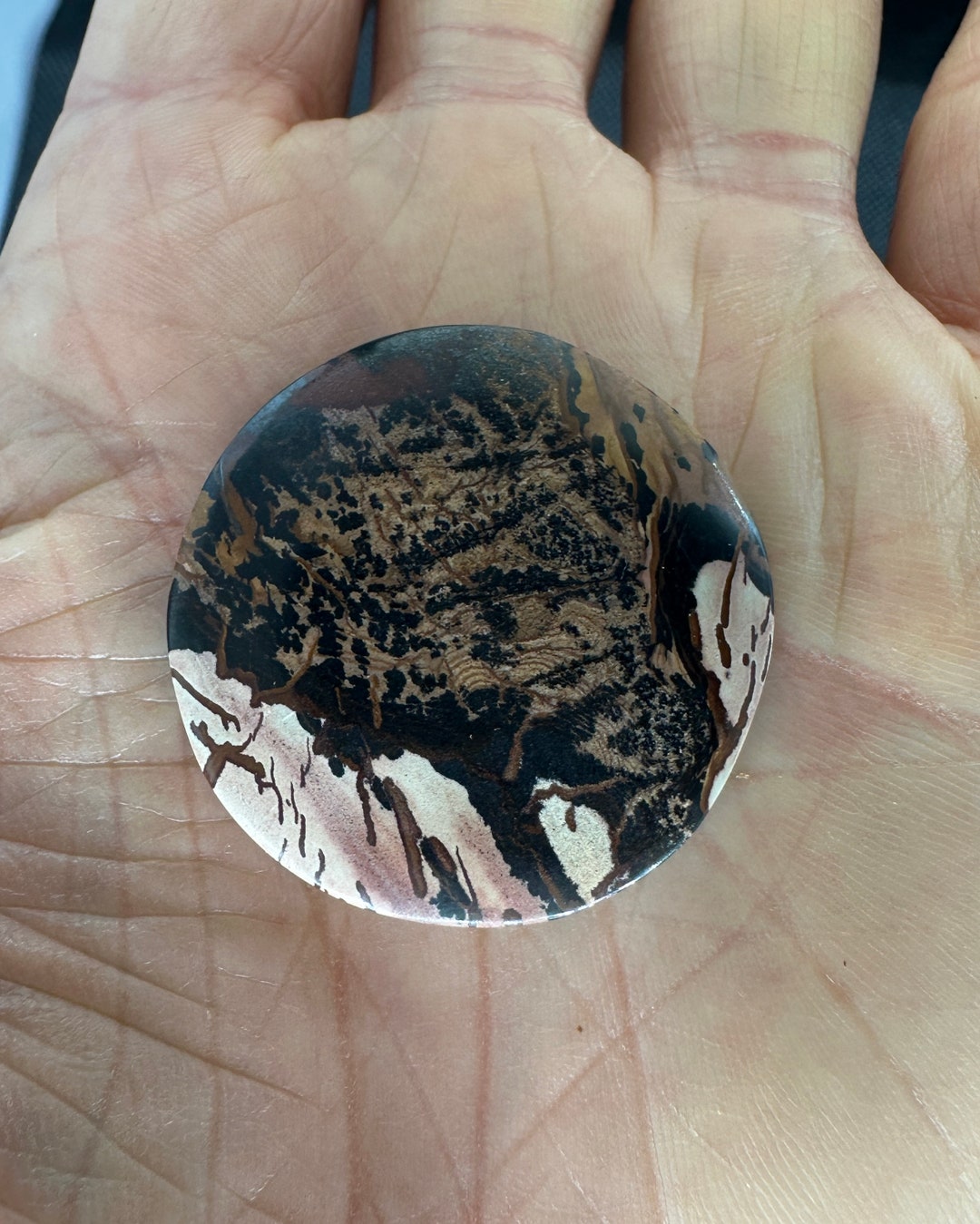 Rare Indian Paint Stone Jasper Round Cabochon A Tiny Landscape Awaits ...