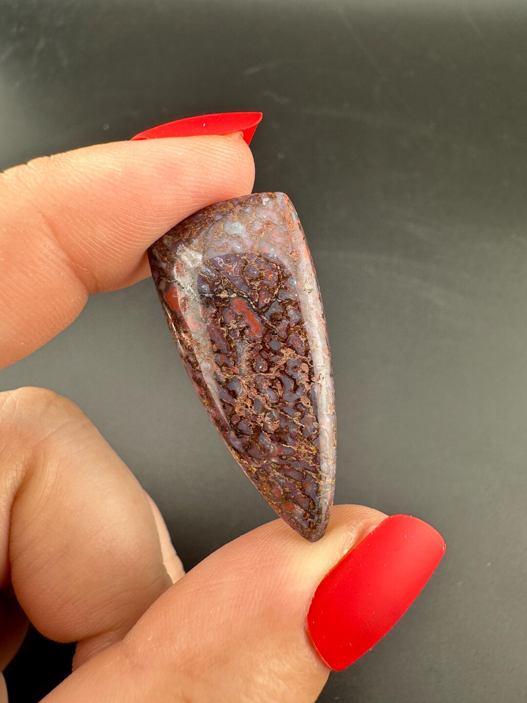 Dinosaur Bone - Shield Cabochon - Etsy