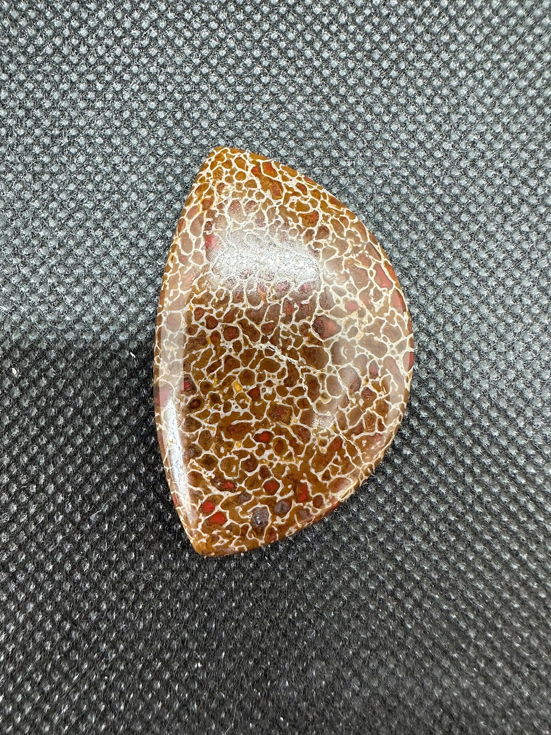 Red Dinosaur Bone Agatized Gem Bone Cabochon Prehistoric Petrified - Etsy