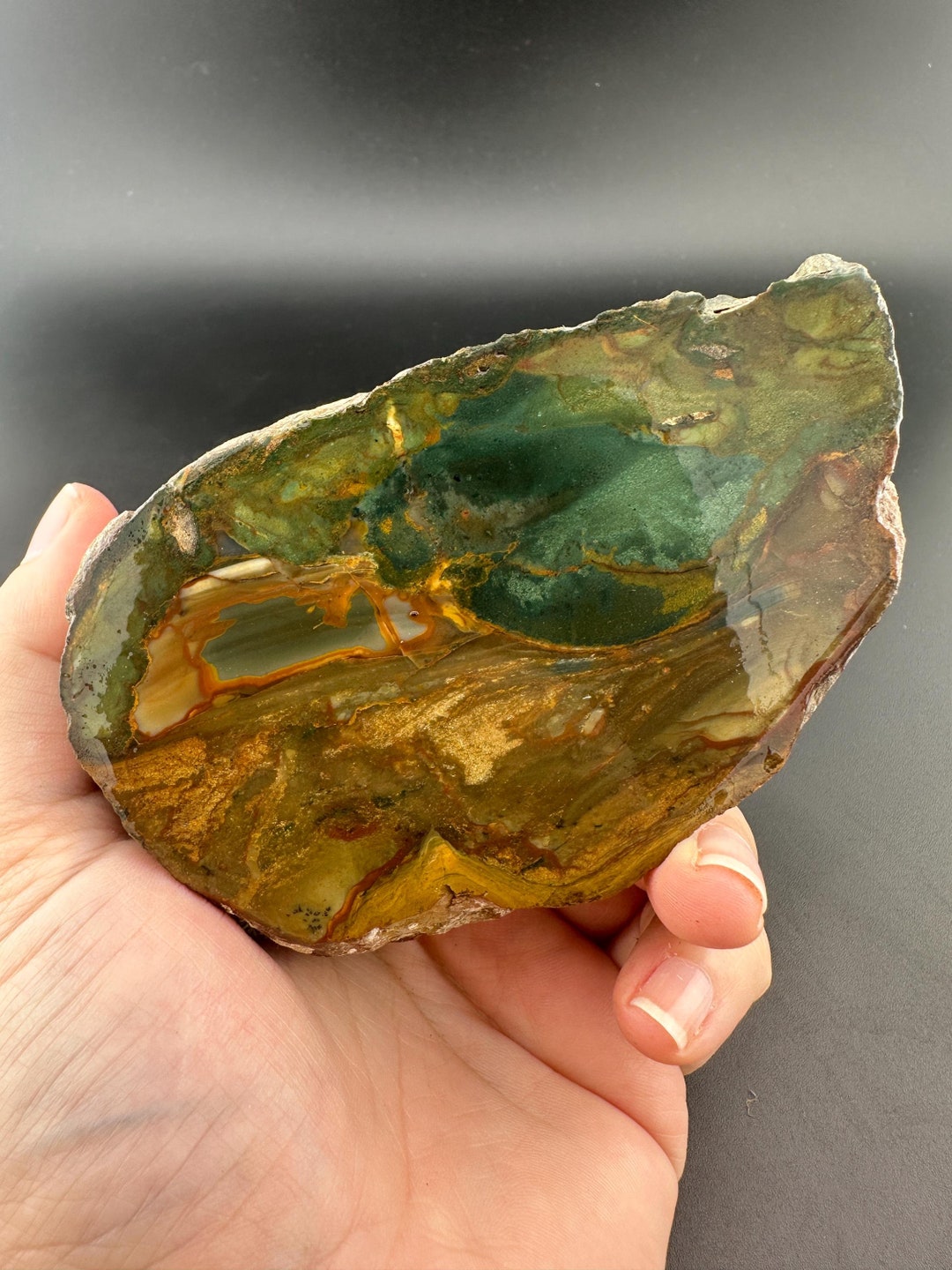 Blue Mountain Jasper Orbicular Rough Lapidary End Half Unpolished ...