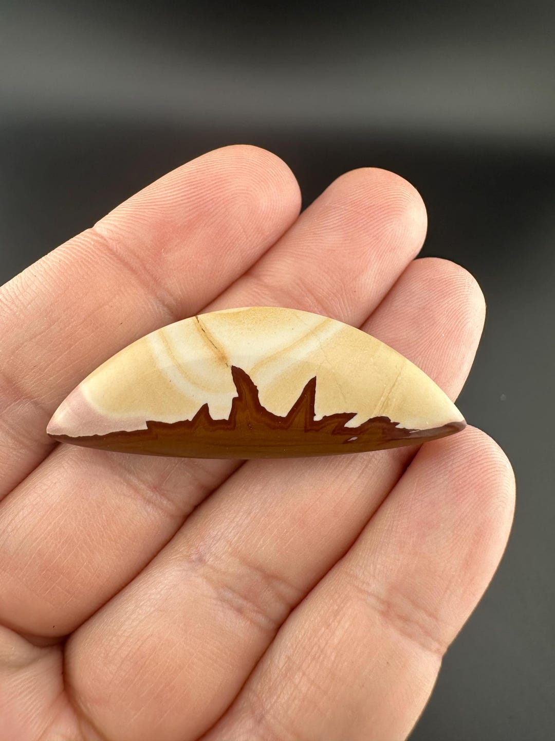 Red Falcon Jasper Cabochon Dead Camel Jasper Area Nevada - Etsy