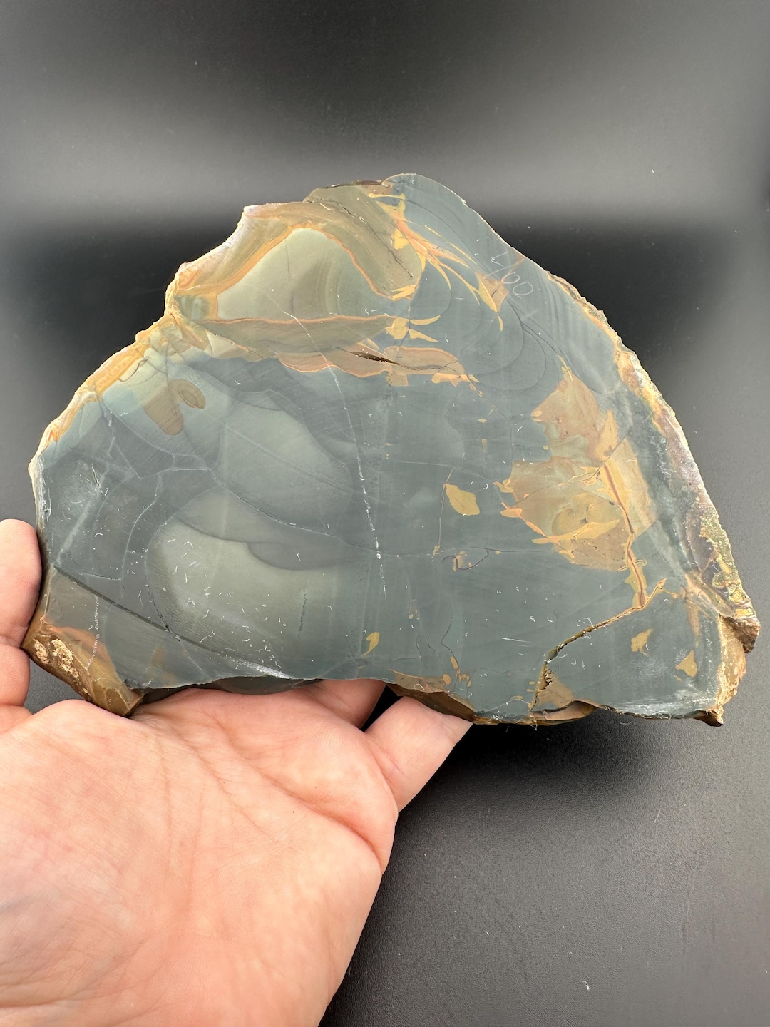 Blue Mountain Jasper - Rough Lapidary Slab - Rough Polished - Mcdermitt ...