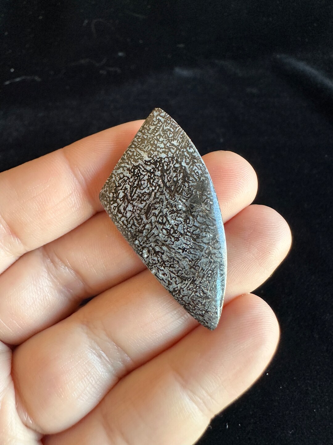 Dinosaur Bone - Freeform Cabochon - Gem Bone - Etsy