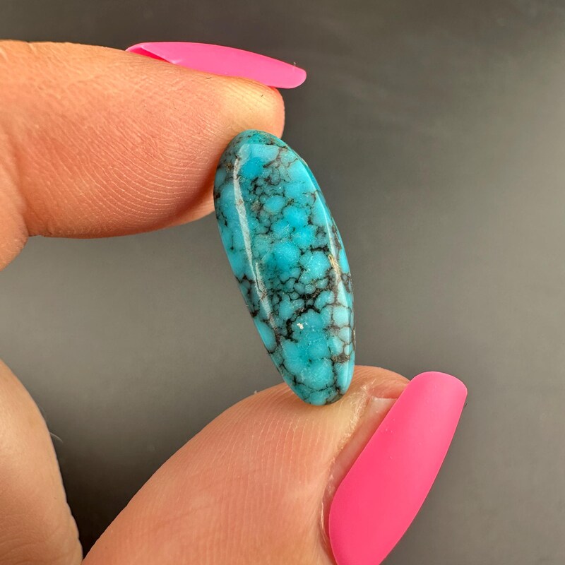 Spider Web Turquoise - Etsy