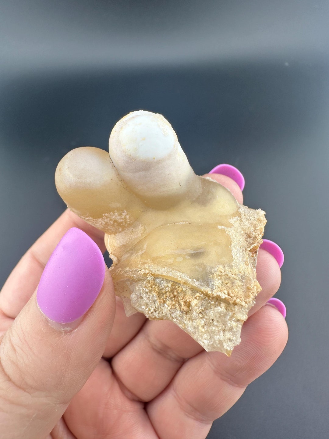 Stalagtite From Thunder Egg - Canyon Rim - Central Oregon - Etsy