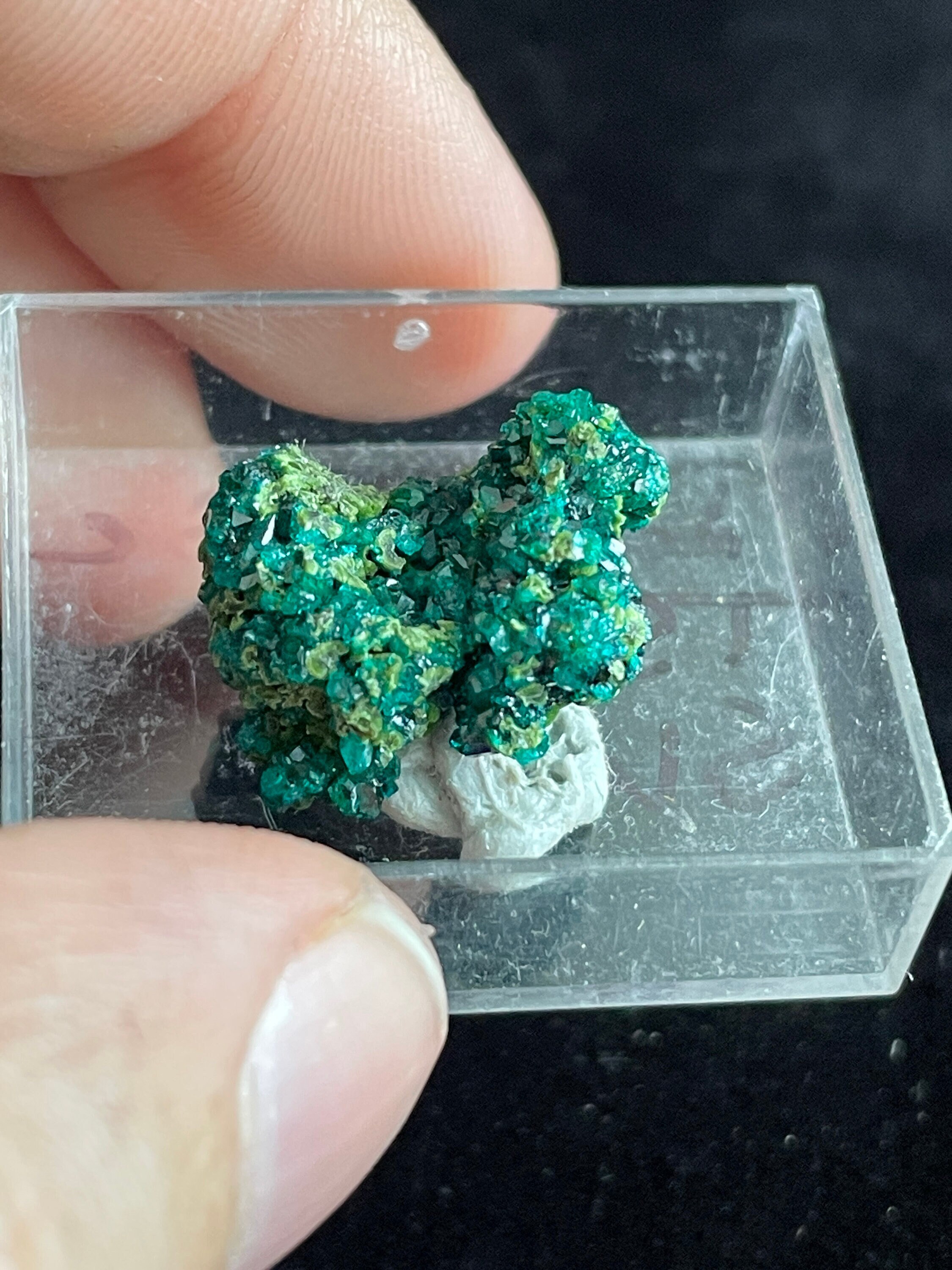 Dioptase Micromount Crystal Tsumeb South West Africa - Etsy
