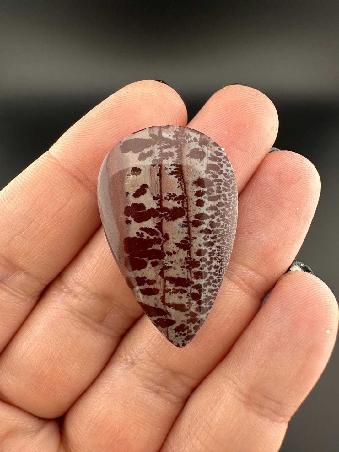 Apache Sage Rhyolite - Cabochon - Mimbres Valley Picture Rhyolite ...