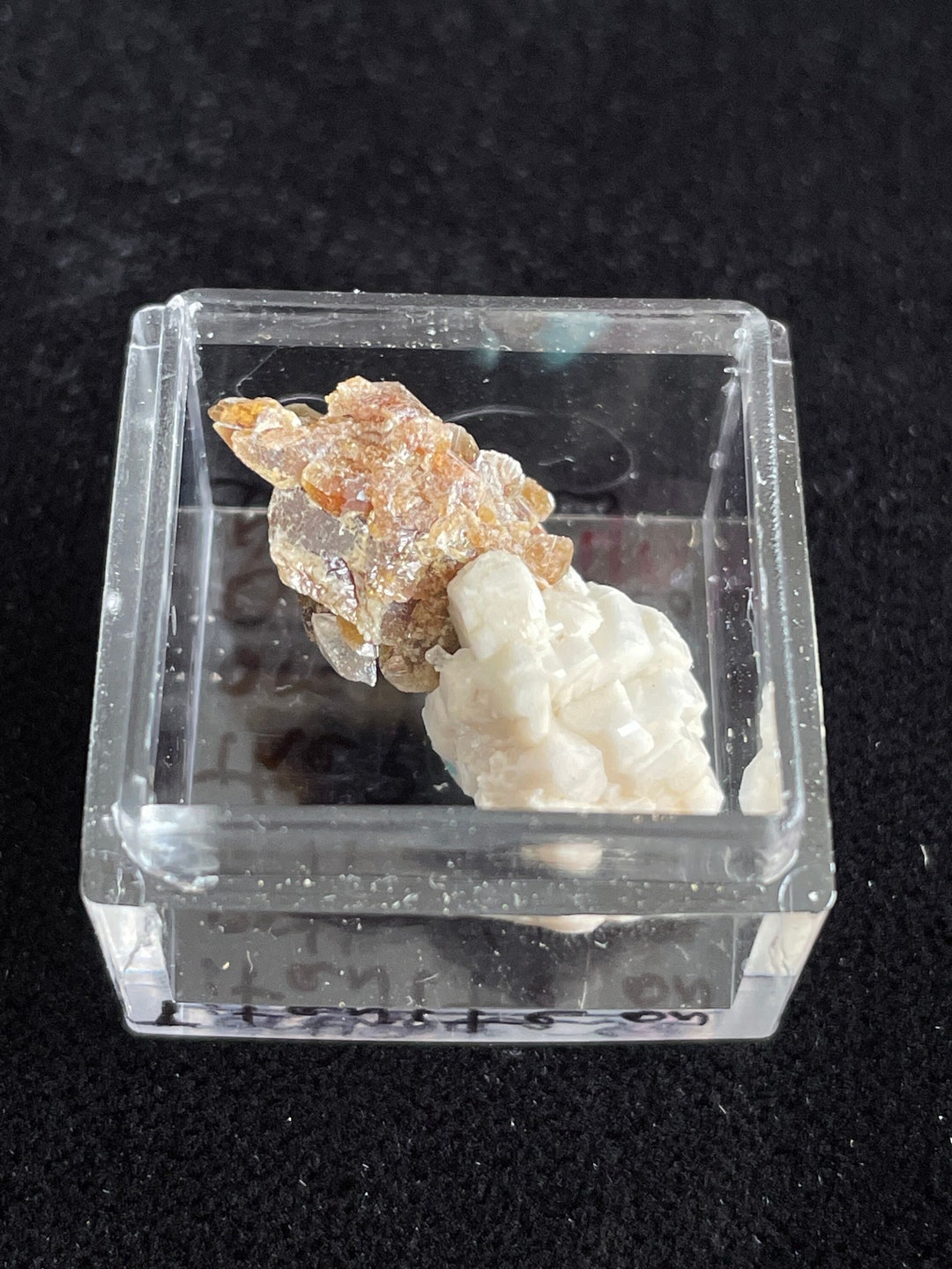 Titanite on Orthoclase - Micromount Crystal - the Pit Pocket - Organ ...