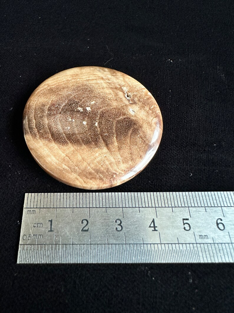 Petrified Wood - Round Shaped Cabochon - Etsy UK