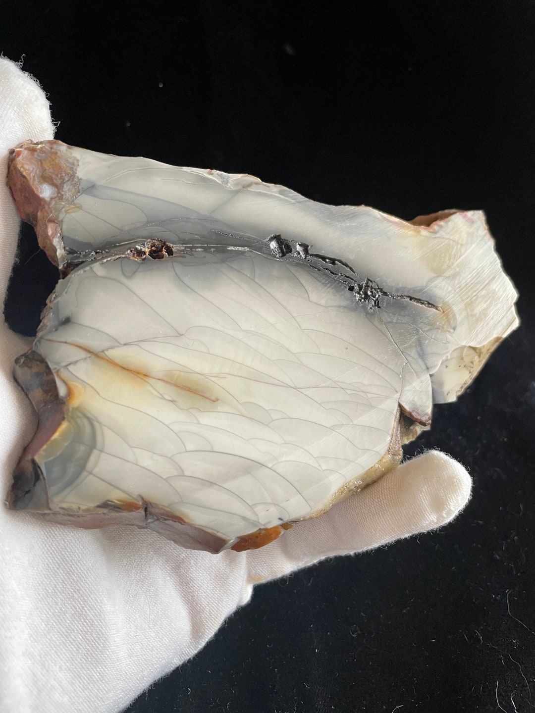 Buchanan Orbicular Jasper Thick Slab Oregon Rough - Etsy