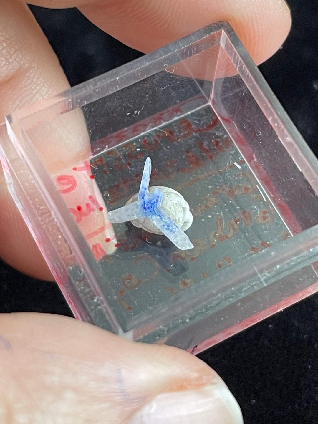 Cerussite With Azurite Inclusions - Micromount Crystal - Grand River ...