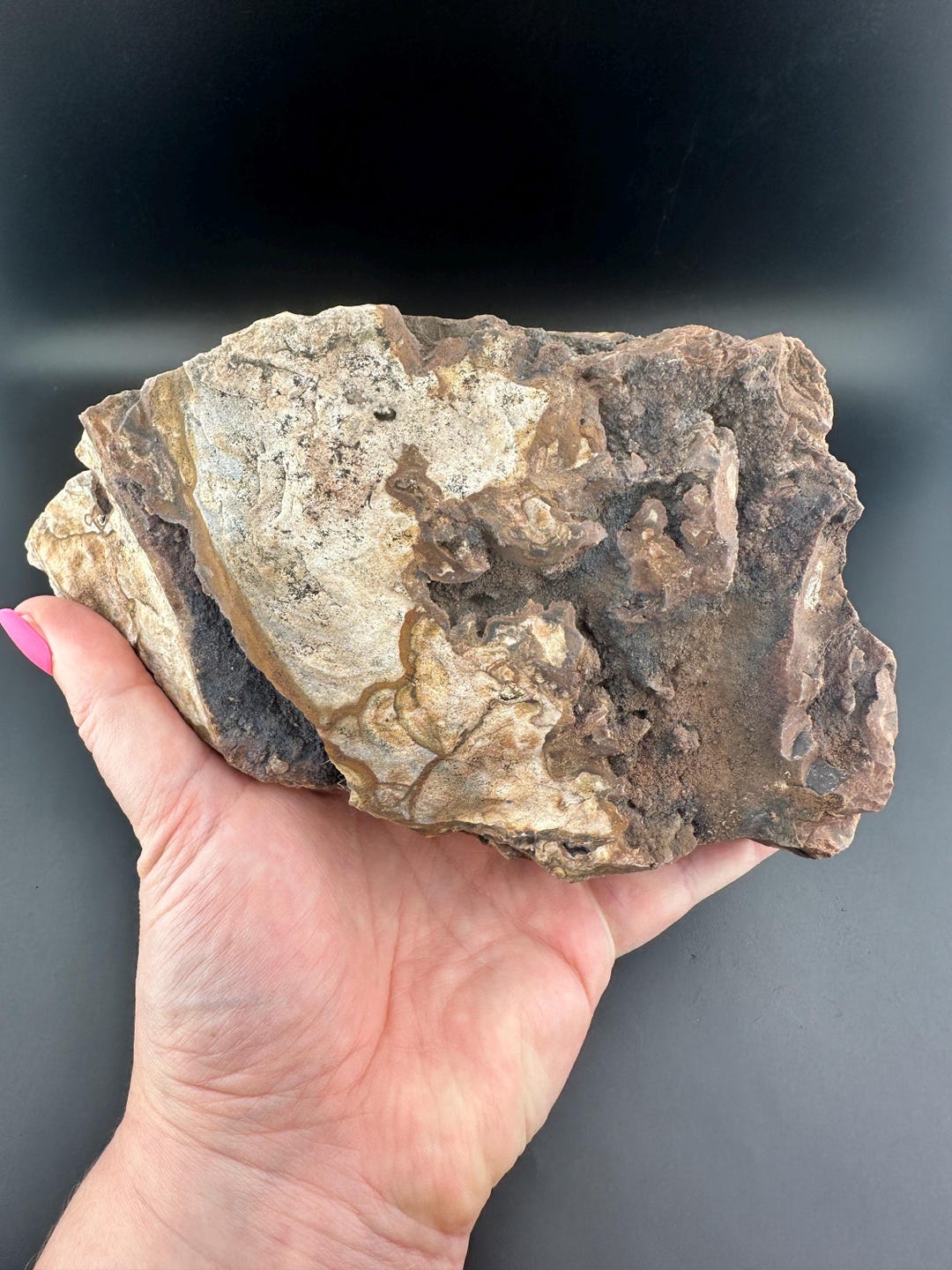 Biggs Picture Jasper - Rough Lapidary Rock - Biggs Junction, Oregon - Etsy