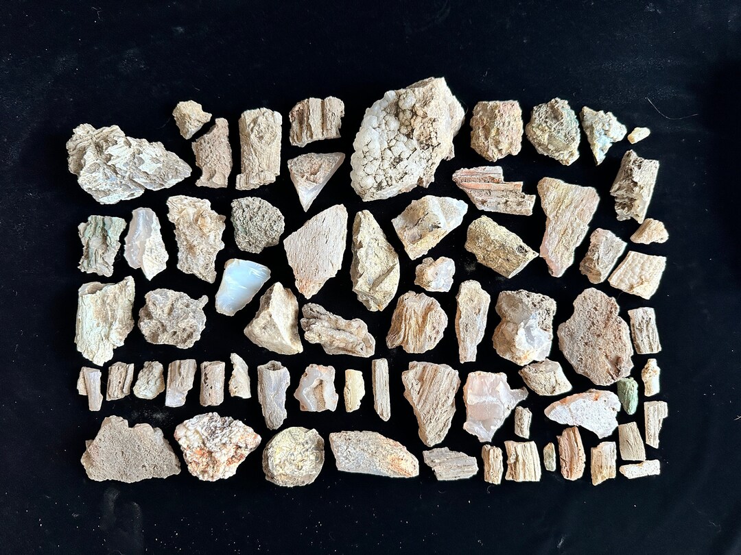 Pink and Green Limb Casts Lapidary Rough Cutter Special Paulina, Oregon ...