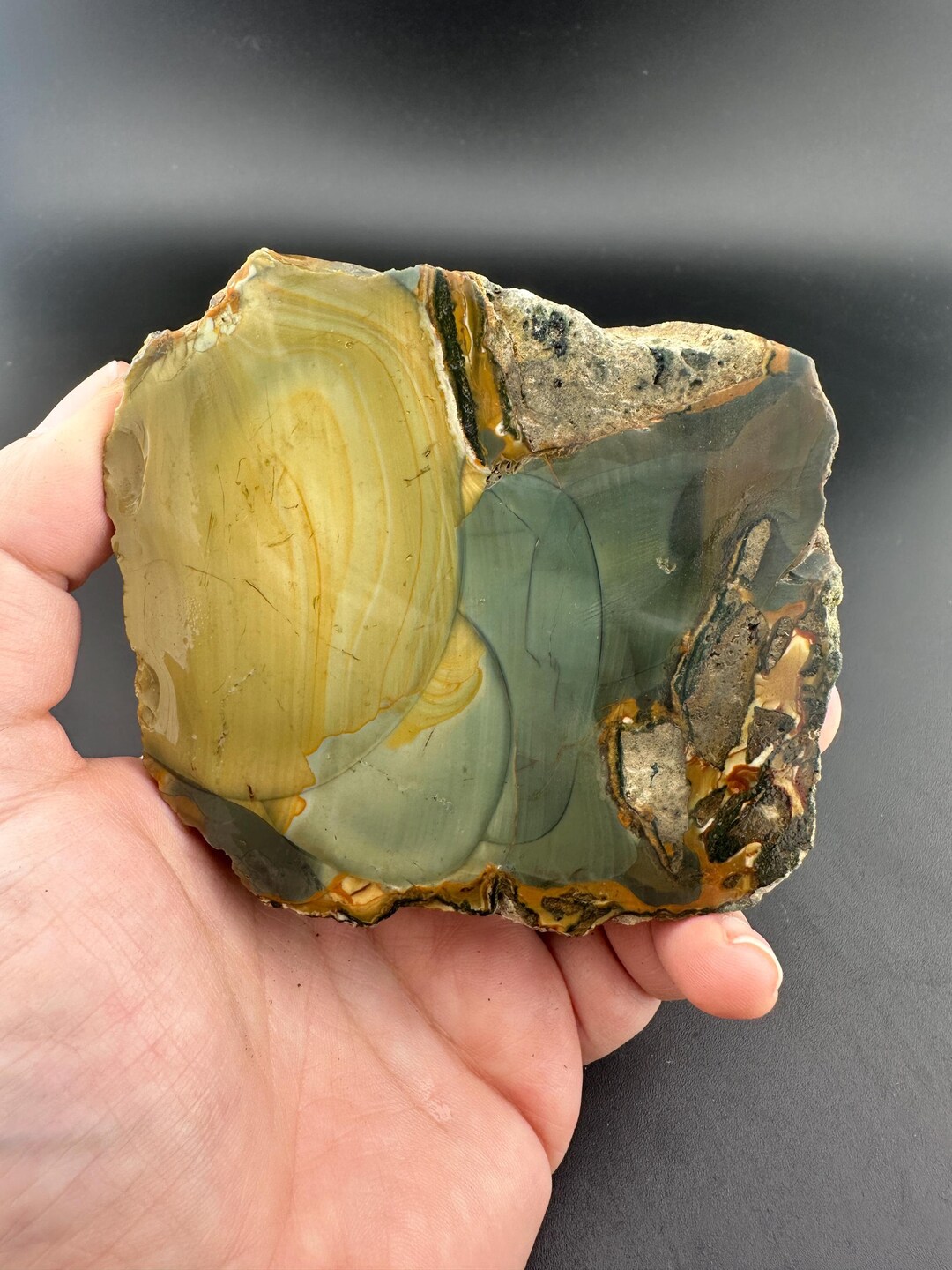 Blue Mountain Jasper Rough Lapidary End Half Unpolished Mcdermitt ...