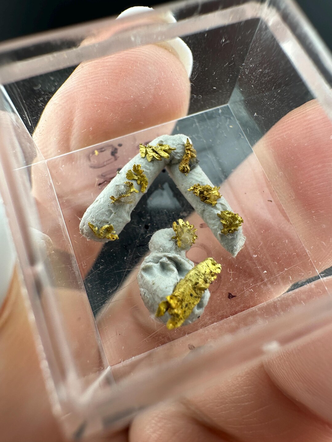 Gold Rough - Micromount Crystal - Dixie Mine - Idaho Springs, Colorado ...