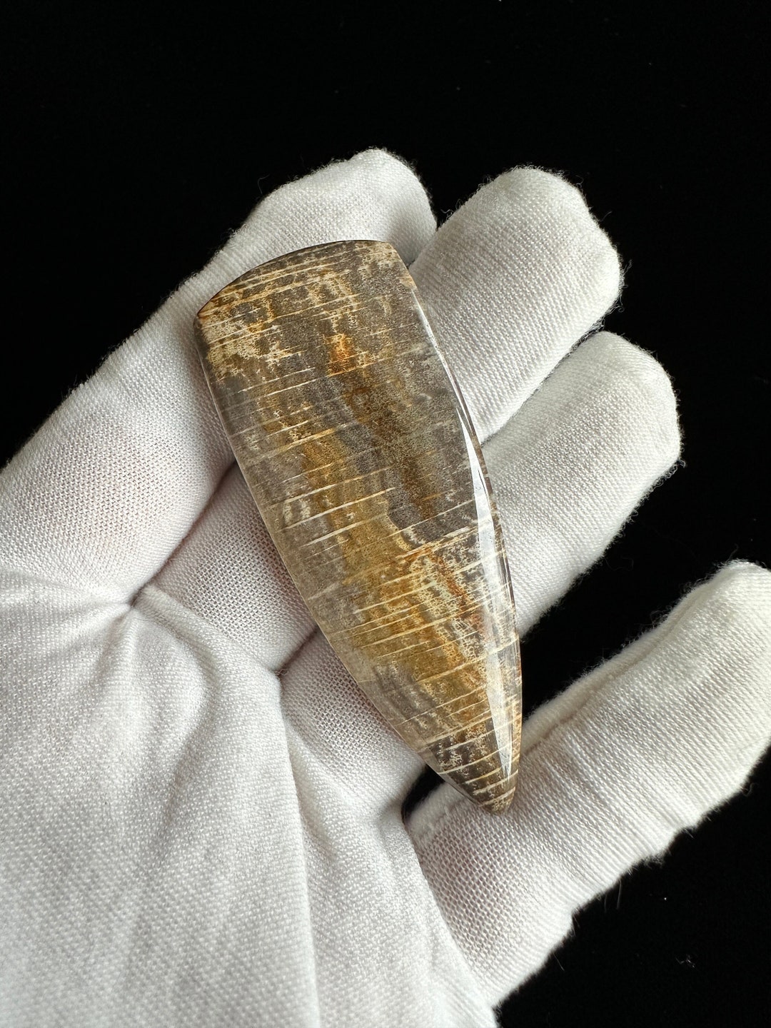 Petrified Wood Stinking Water Golden Oak Shield Cabochon Polished ...