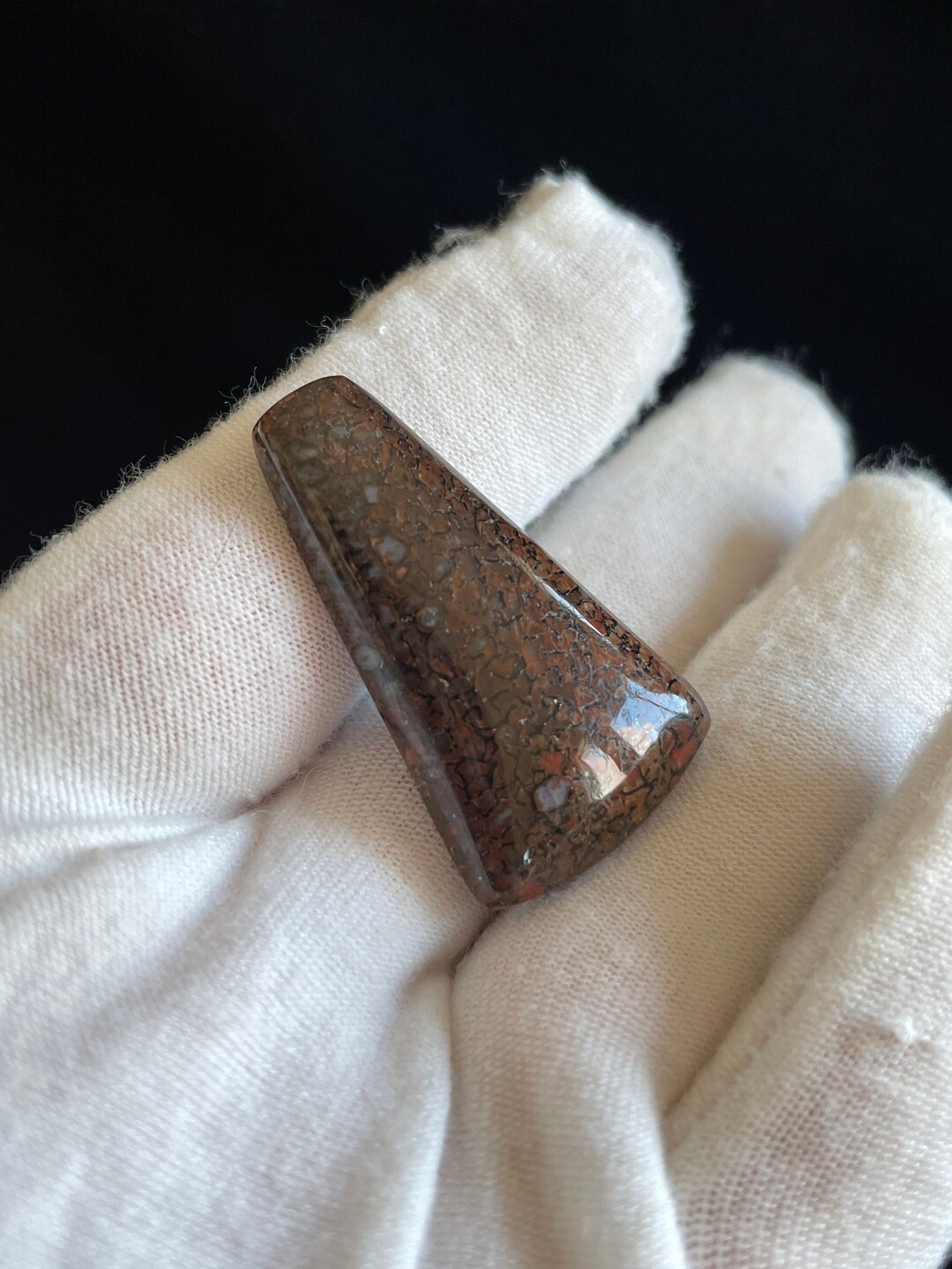 Red Dinosaur Gem Bone - Prehistoric Fossil - Freefrom - Polished ...