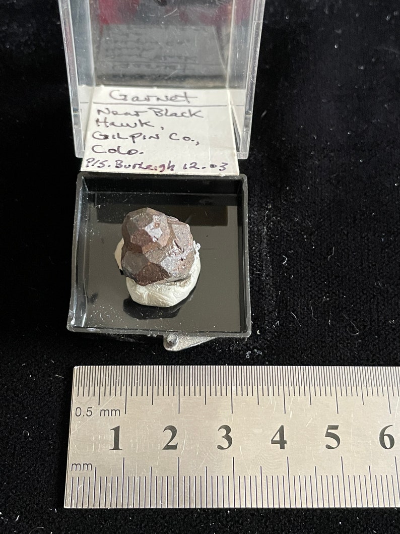 Garnet - Thumbnail Crystal - Near Black Hawk, Gilpin County, Colorado ...