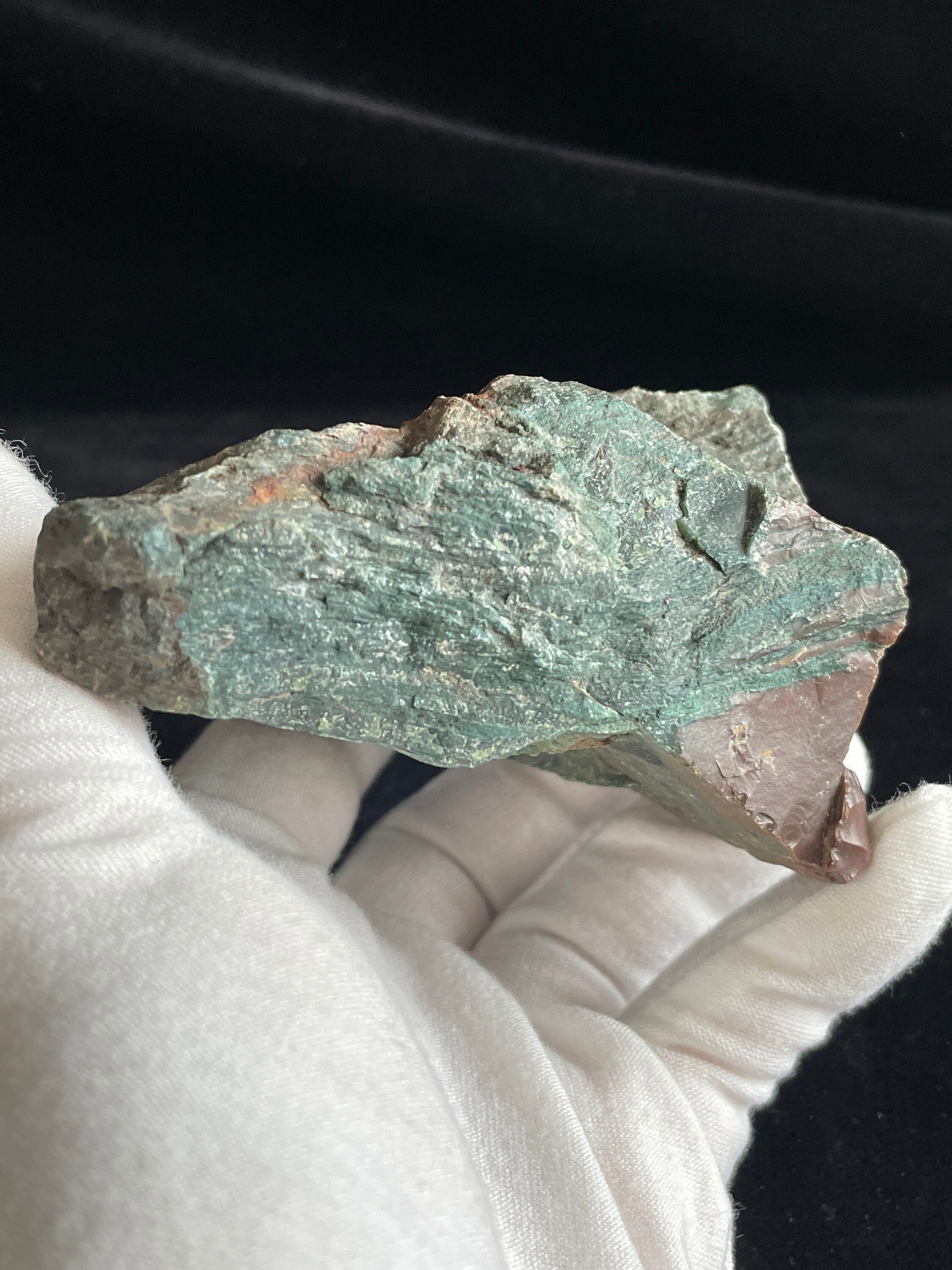 Green Petrified Wood Oregon