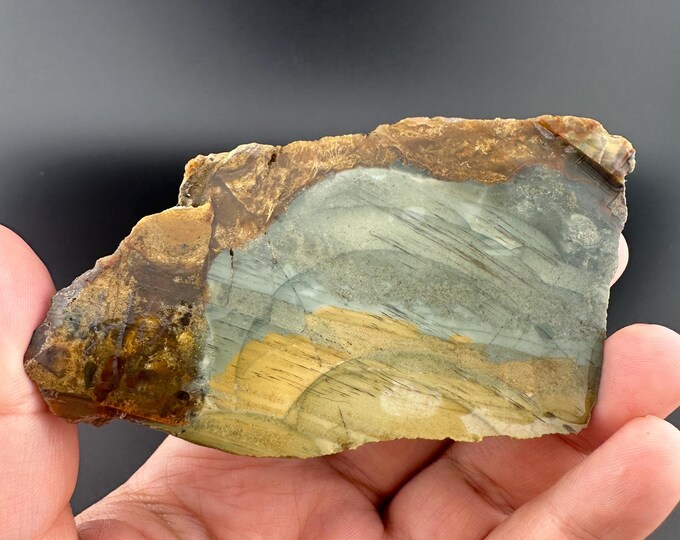 Orbicular Blue Mountain Jasper - Rough Lapidary Half - Unpolished ...