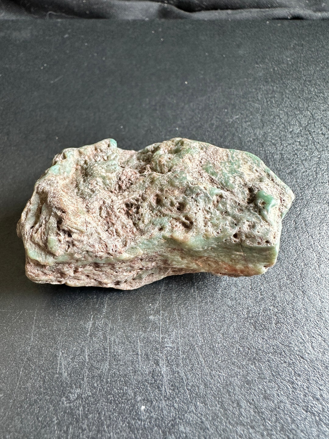 Green Petrified Wood Limb Cast Hampton Butte, Oregon - Etsy