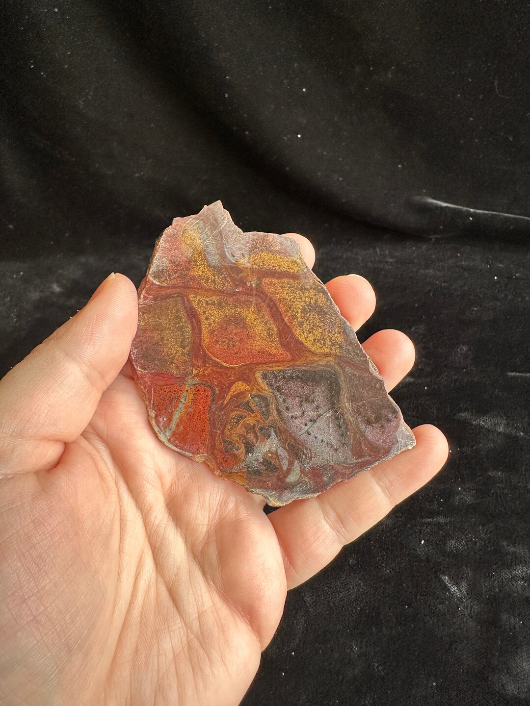 Cycad Fossil Rough Lapidary Slab - Etsy