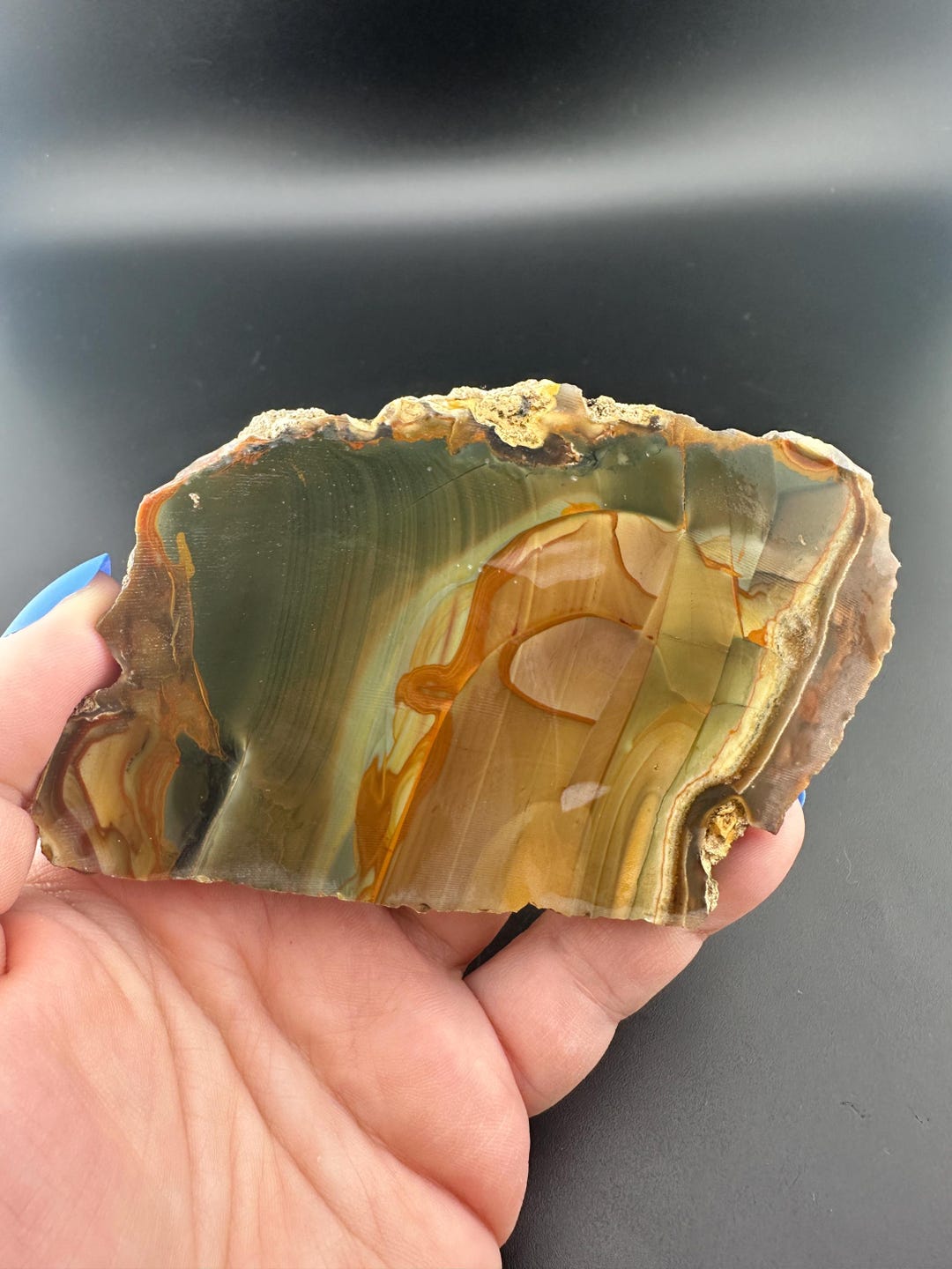 Orbicular Blue Mountain Jasper - Rough Lapidary Half - Unpolished ...