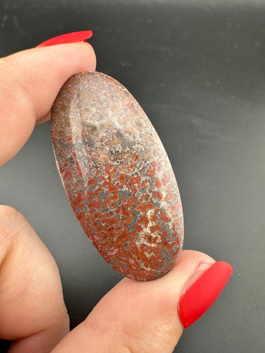 Red Dinosaur Bone - Oval Cabochon - Etsy
