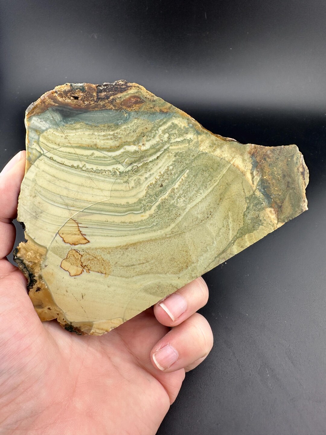 Blue Mountain Jasper - Orbicular - Rough Lapidary Half - Unpolished ...