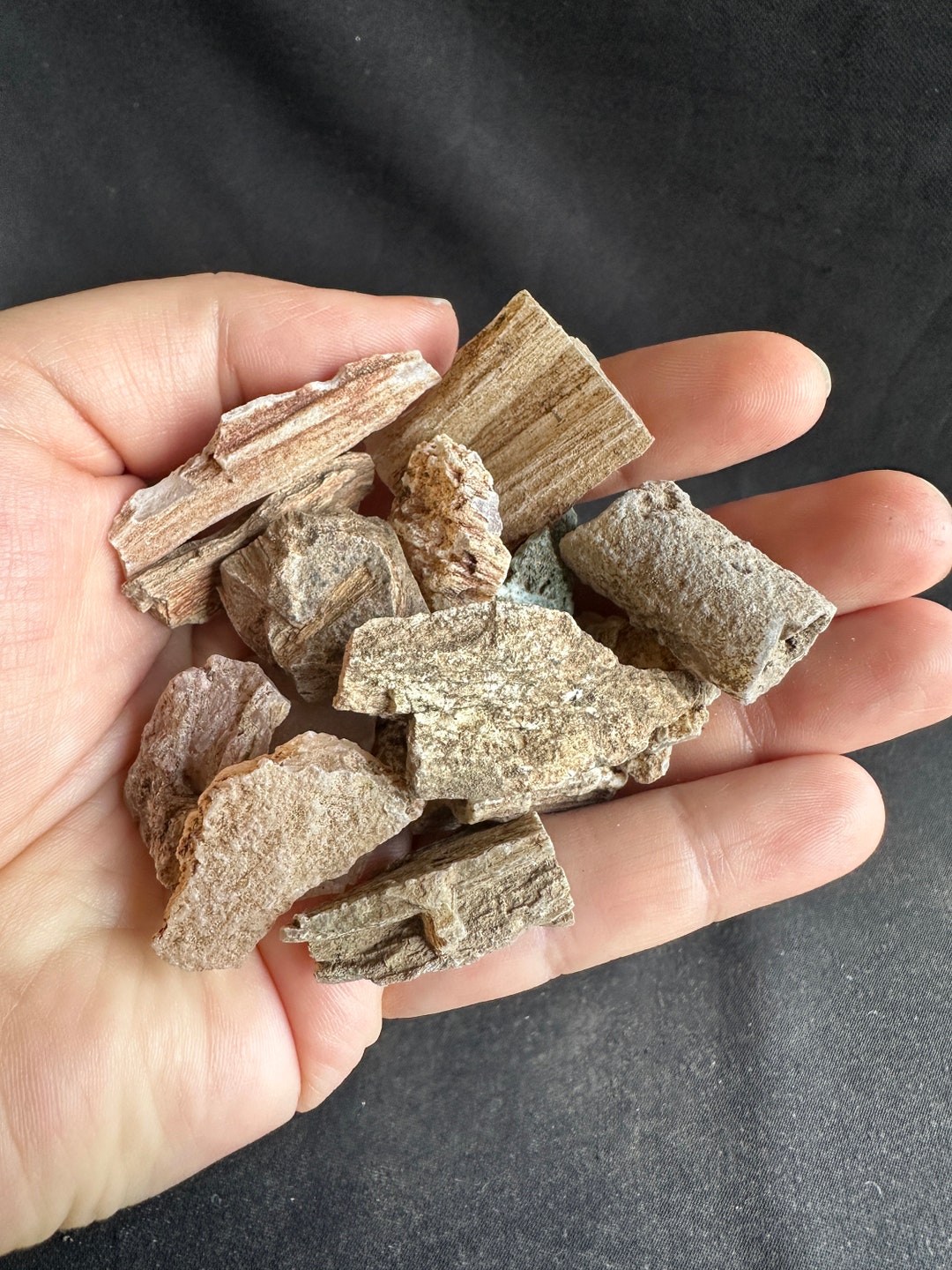 Pink and Green Limb Casts - Lapidary Rough Cutter Special - Paulina ...