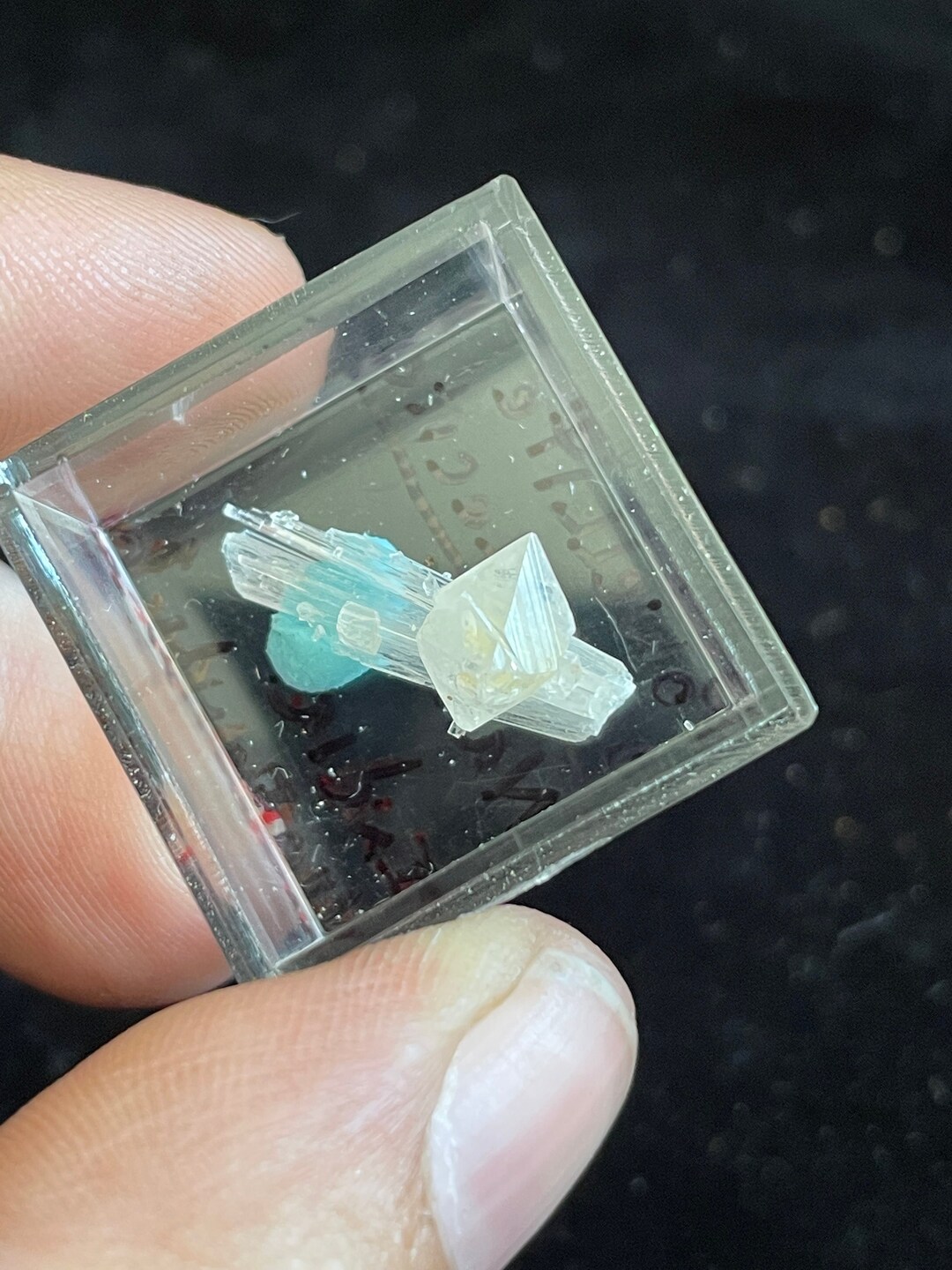 Powellite on Scolecite Micromount Crystal Nasik India - Etsy