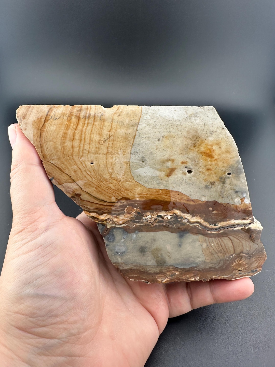 Biggs Picture Jasper - Old Stock - Rough Lapidary Slab - Unpolished ...