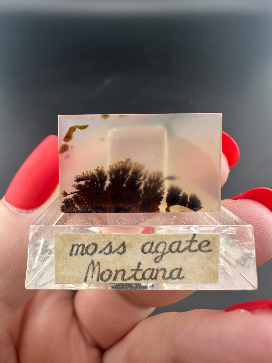 Moss Agate - Tablet Cut on Acrylic Display - Montana - Etsy