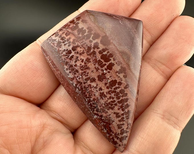 Apache Sage Rhyolite - Cabochon - Mimbres Valley Picture Rhyolite ...